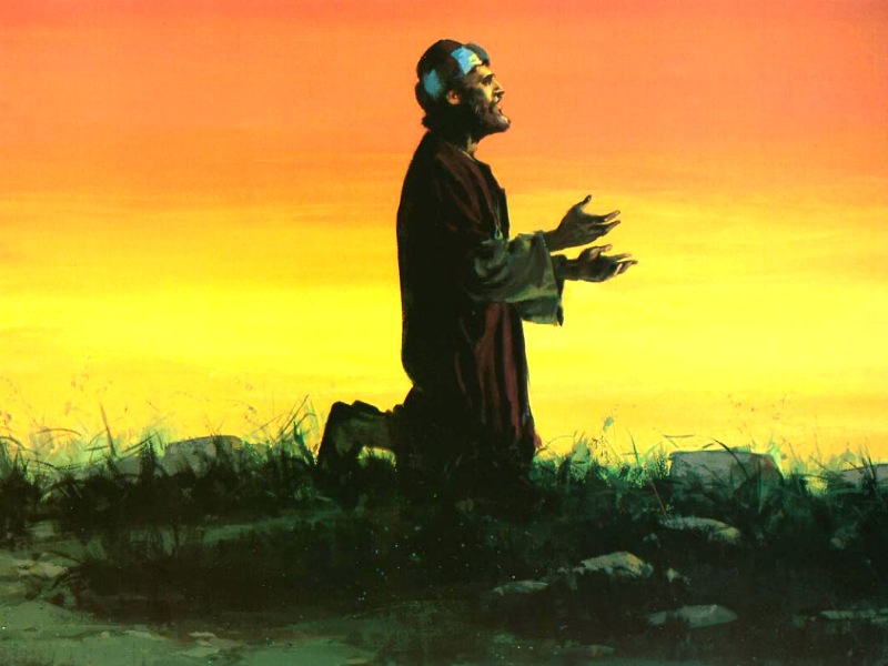 Nehemiah: A Man of Prayer – Biblical Spirituality Press